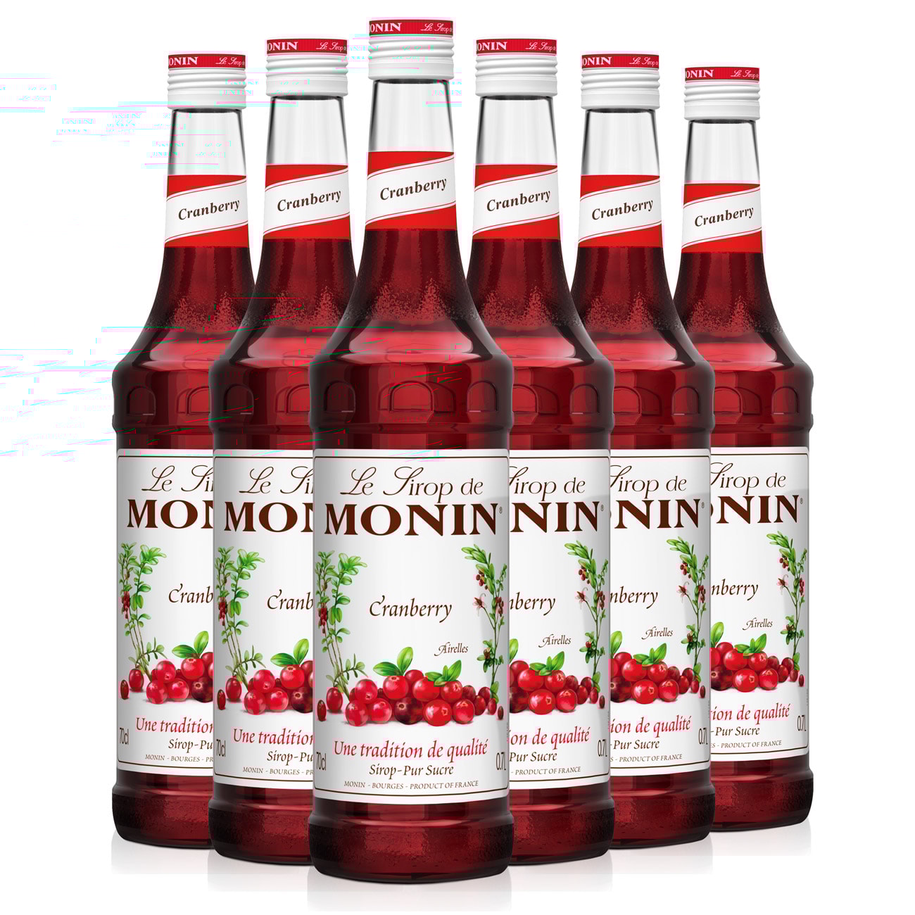 Pack 6un Xarope Monin Cranberry 700ml - Espaço Prime Bebidas